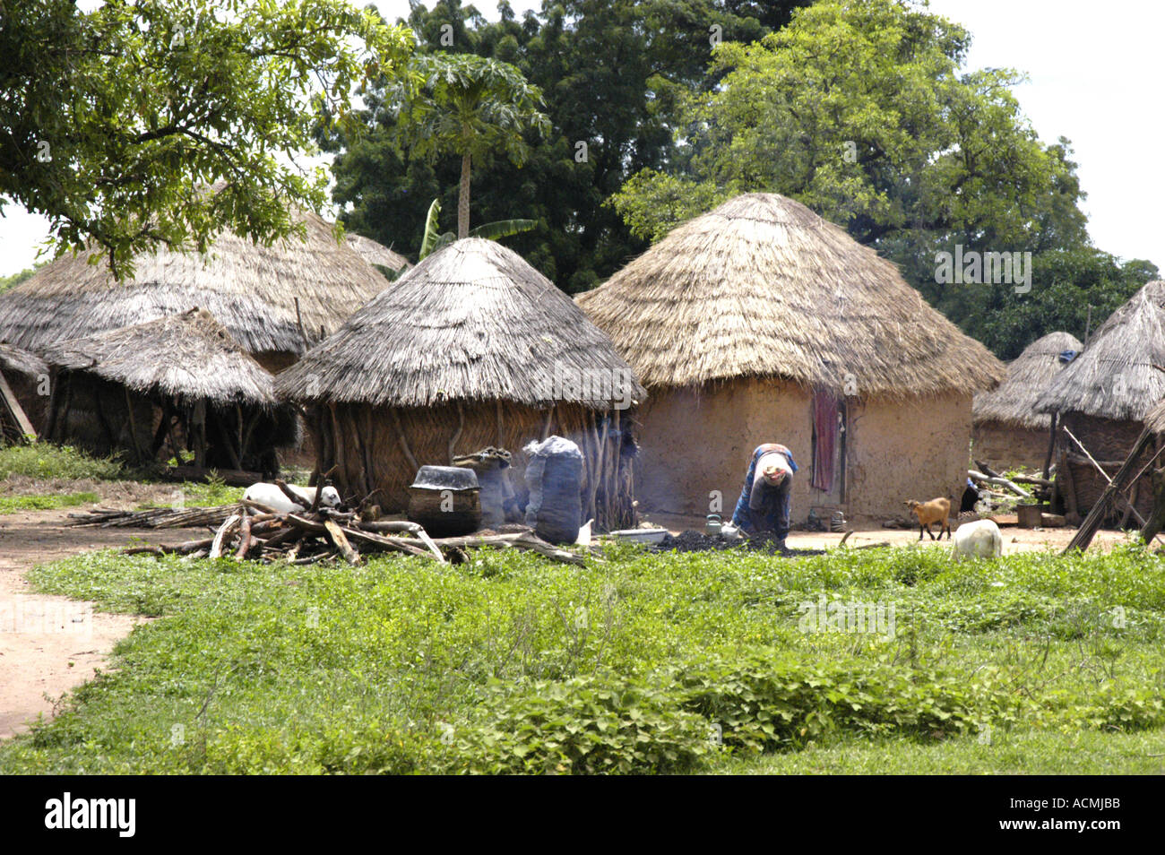 Traditional houses ghana west africa immagini e fotografie stock ad ...