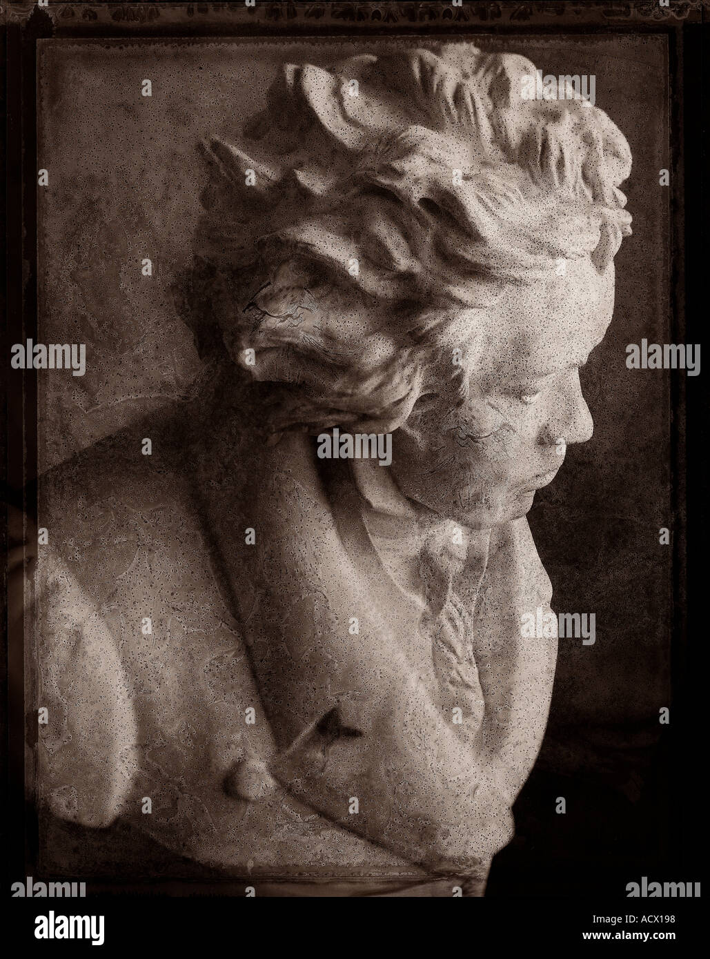 Bust statue of beethoven immagini e fotografie stock ad alta ...