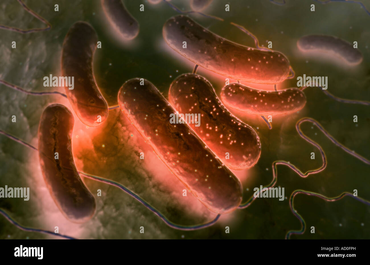 Di e coli immagini e fotografie stock ad alta risoluzione - Alamy