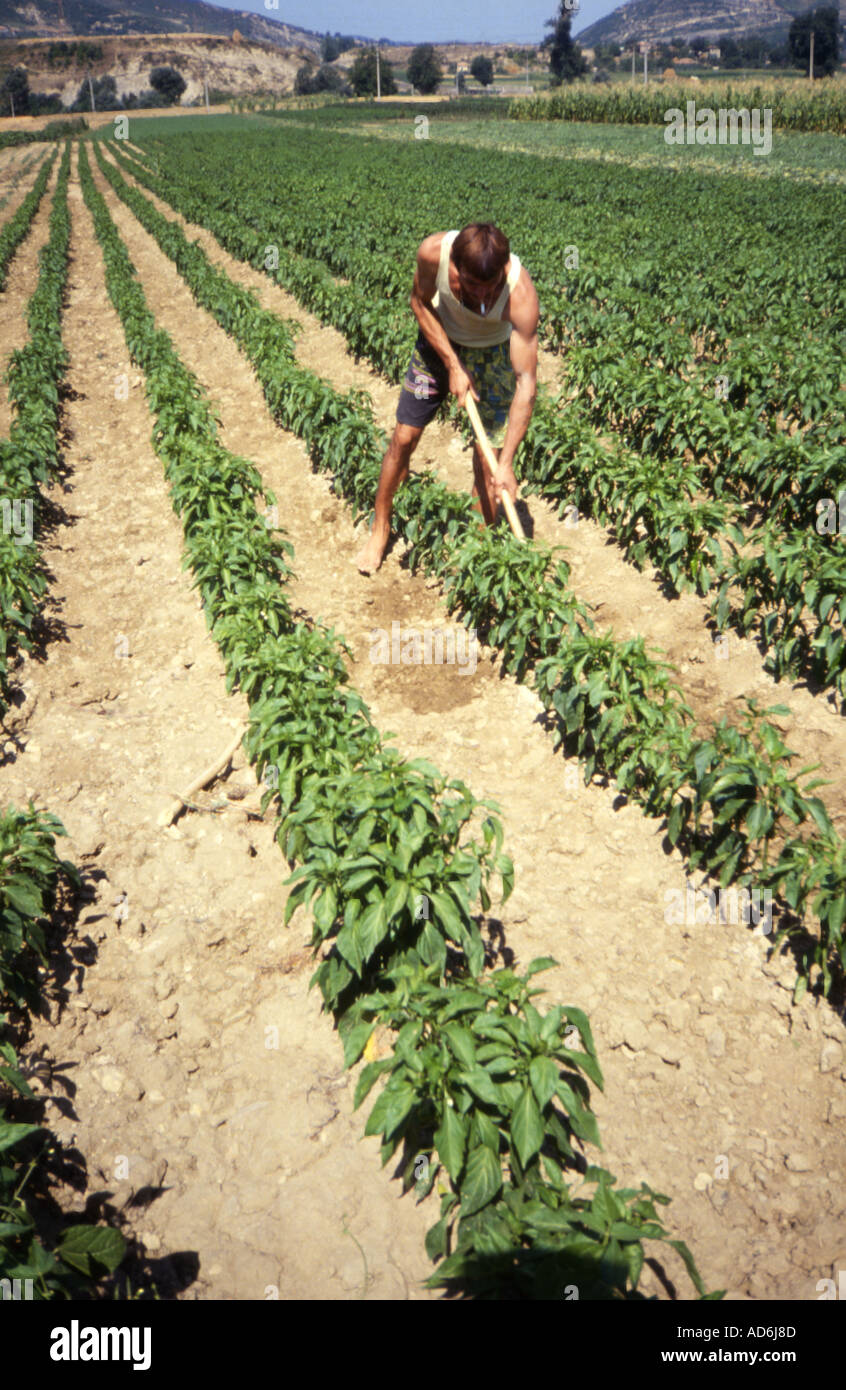 Contadino che zappa immagini e fotografie stock ad alta risoluzione - Alamy