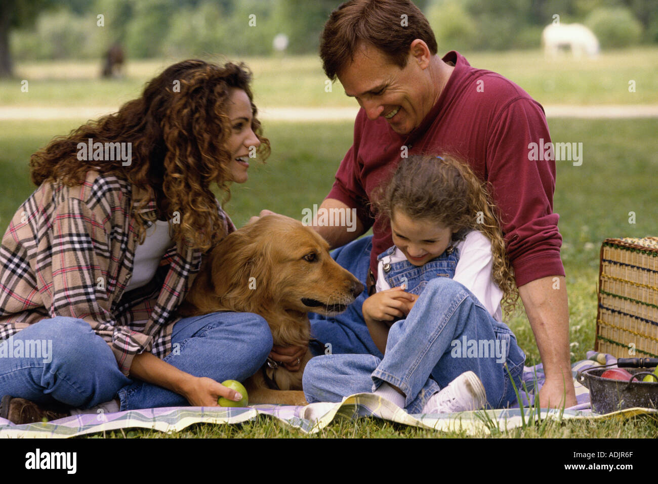 Un cane con le gambe basse immagini e fotografie stock ad alta ...