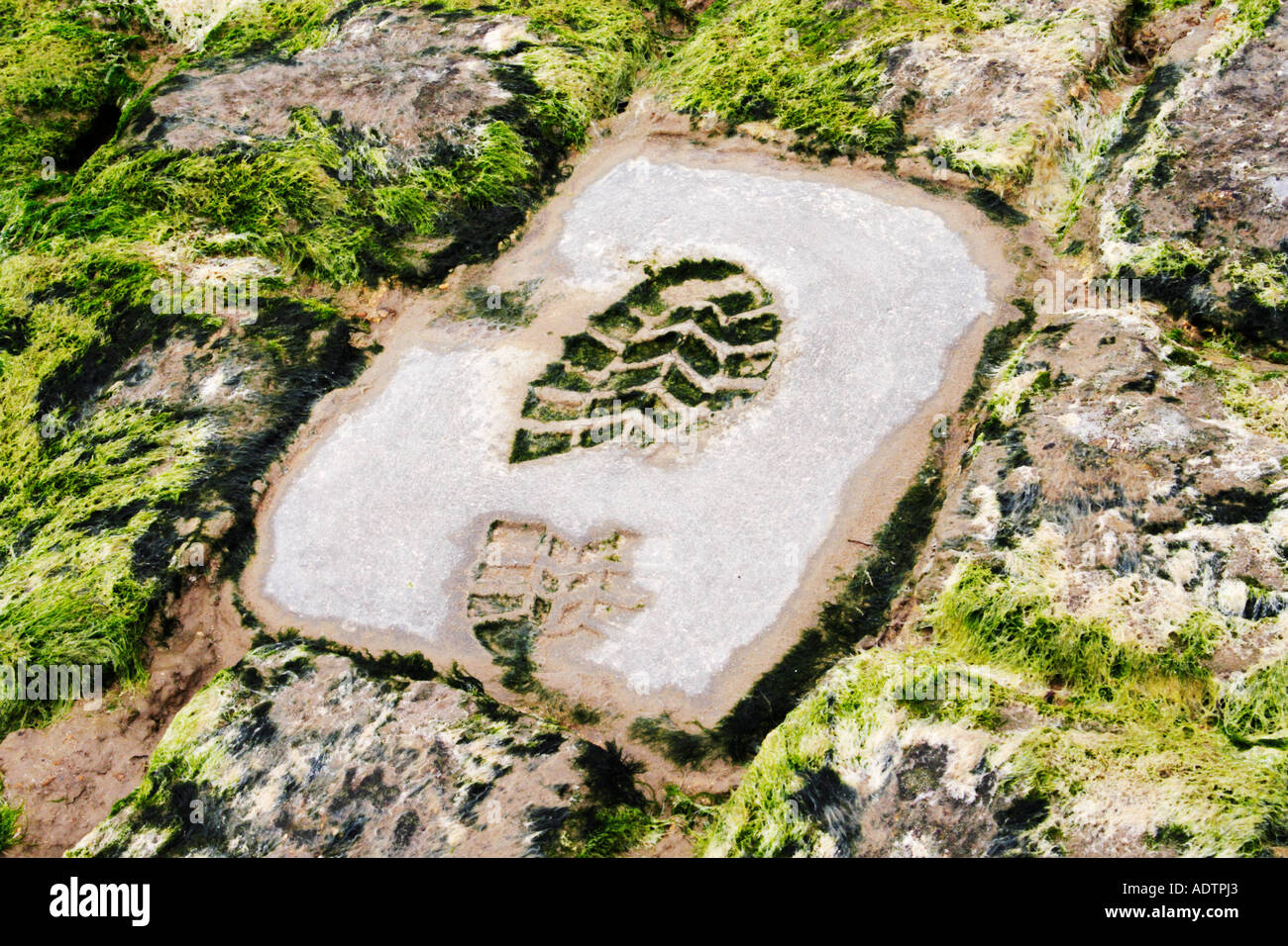 Impronta di scarpa immagini e fotografie stock ad alta risoluzione - Alamy