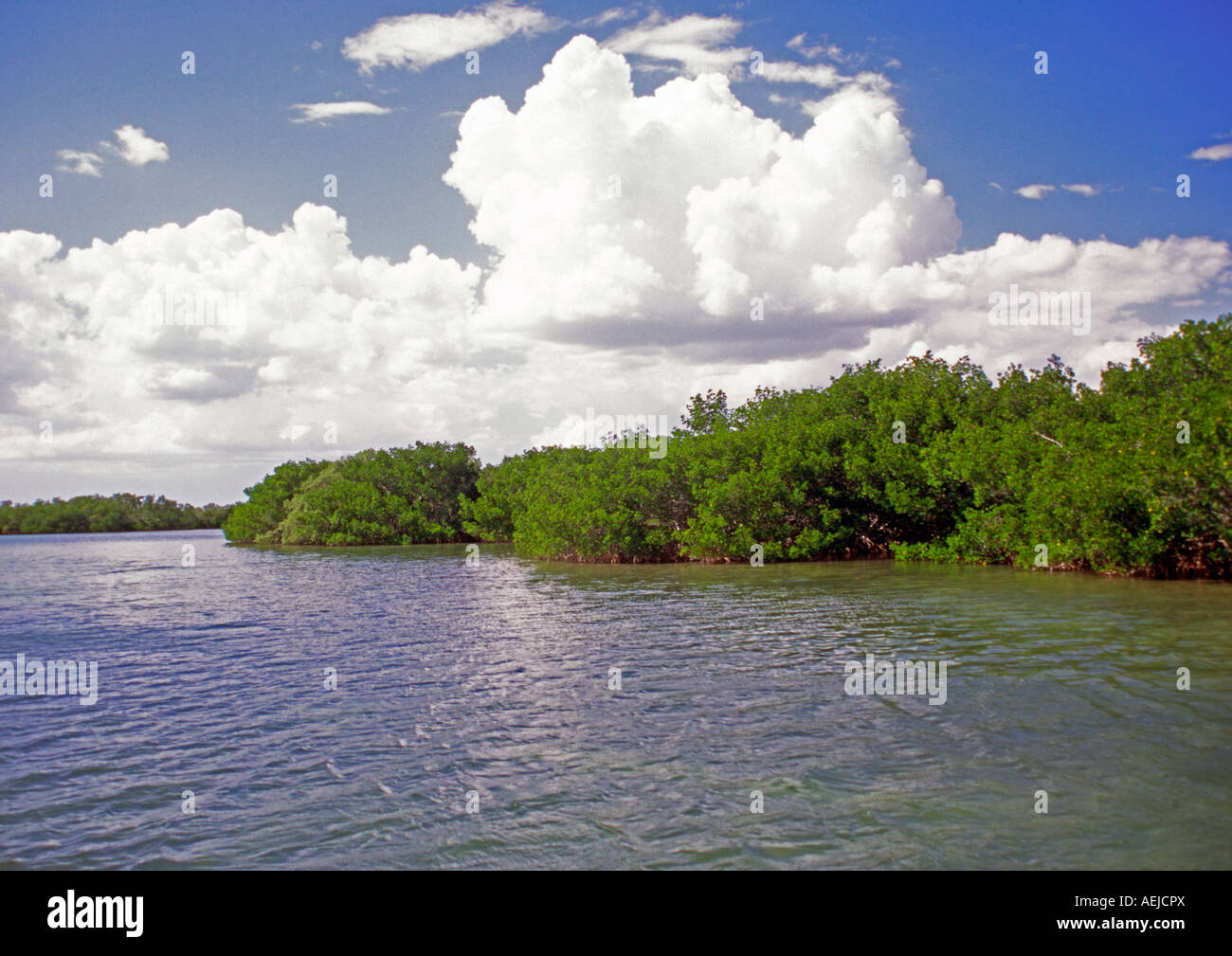 Port charlotte, florida, usa immagini e fotografie stock ad alta ...
