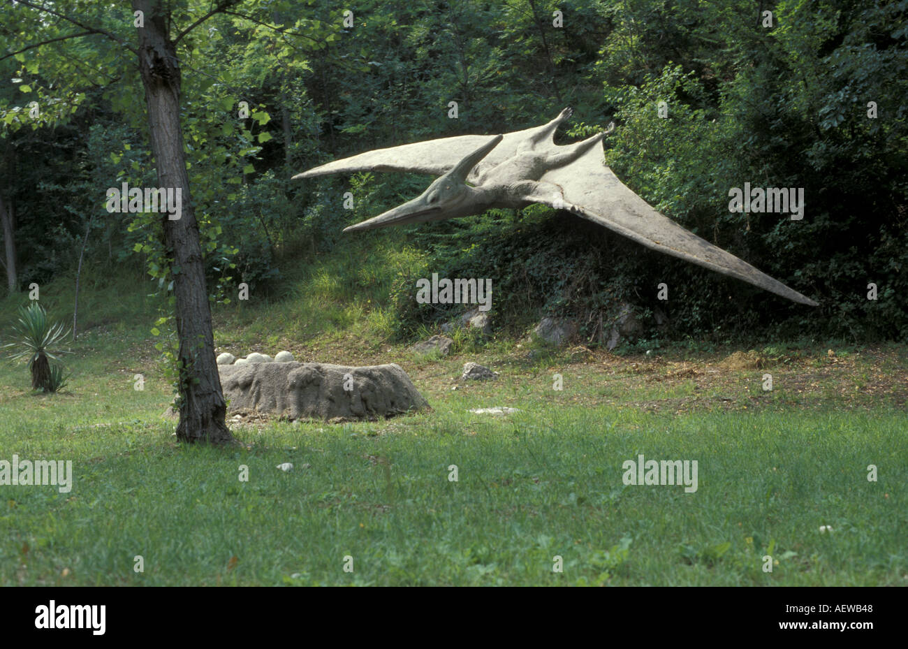 Pteranodonte Dinosaurian park Parco Natura Viva Bussolengo Veneto ...