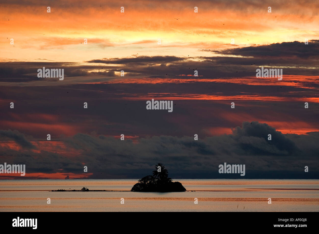 Atollo di palmira immagini e fotografie stock ad alta risoluzione - Alamy