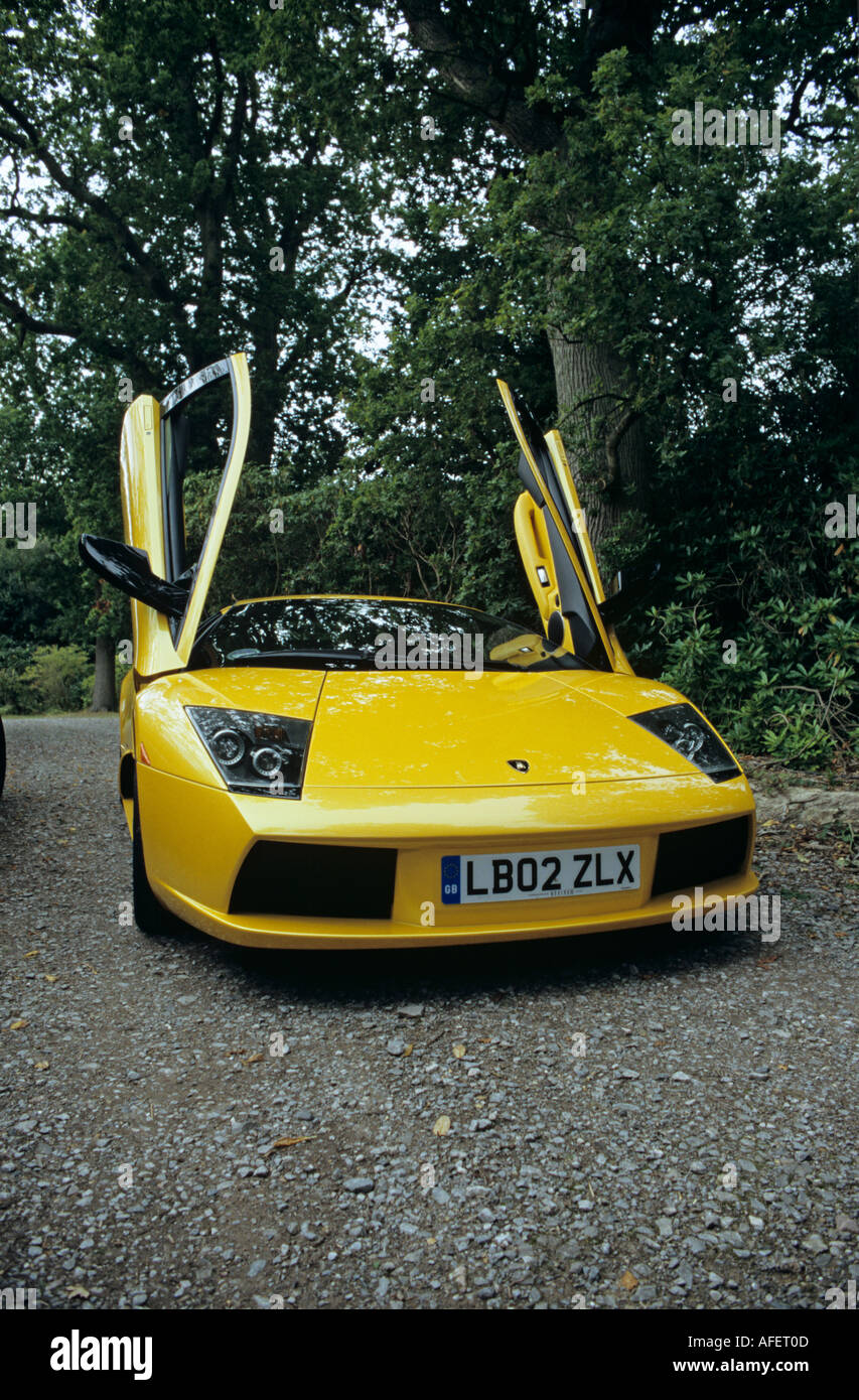 Porte di lamborghini immagini e fotografie stock ad alta risoluzione ...