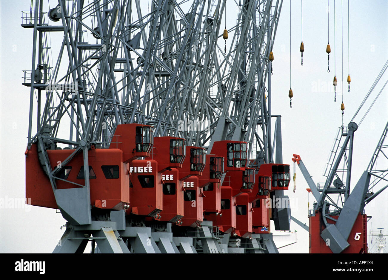 Kenz figee immagini e fotografie stock ad alta risoluzione - Alamy