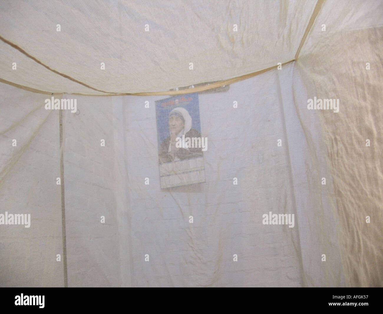 Madre Teresa visto attraverso una zanzariera in Sameeksha Centro per la ...