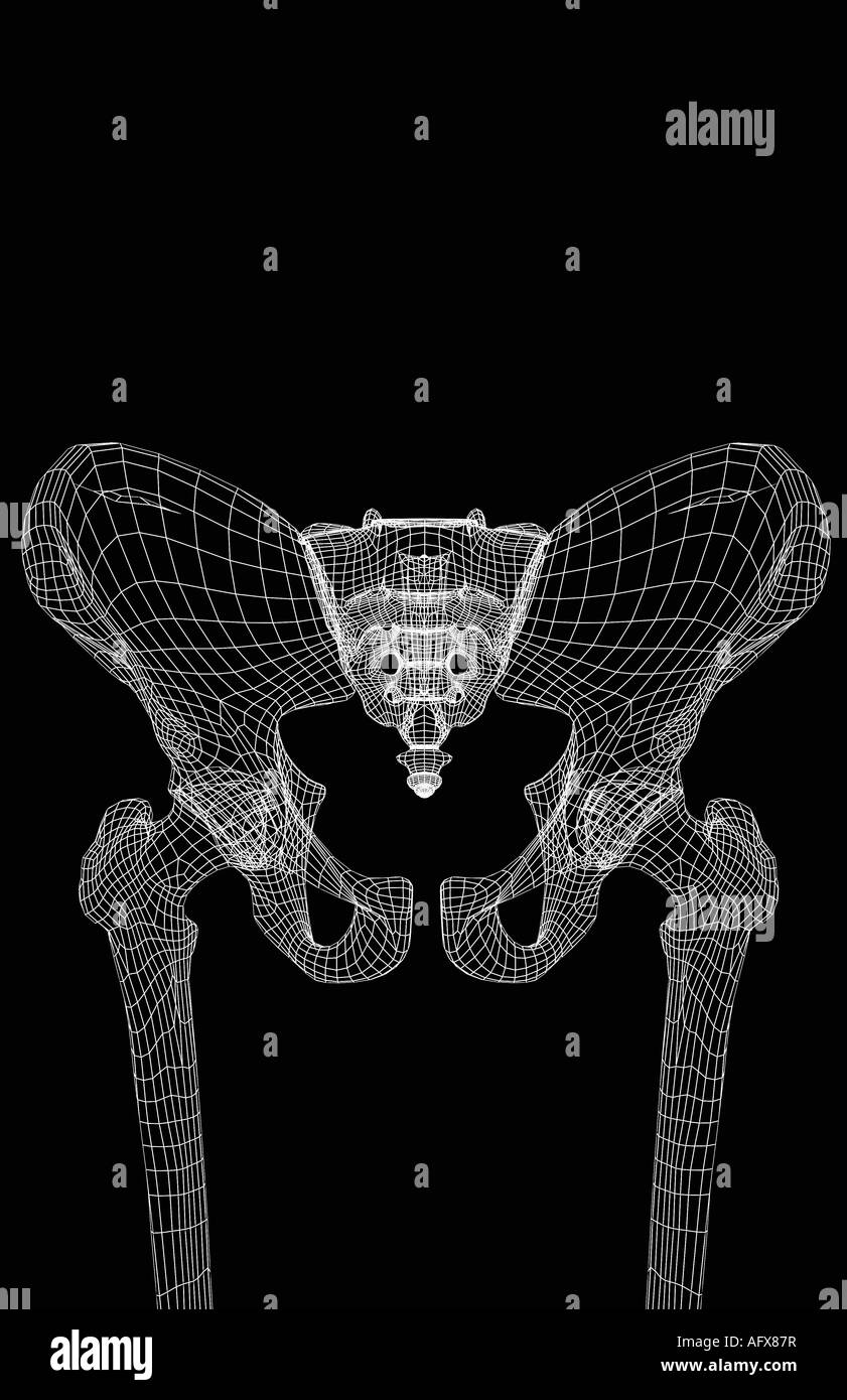 Ossa del bacino umano Foto e Immagini Stock in Bianco e Nero - Alamy