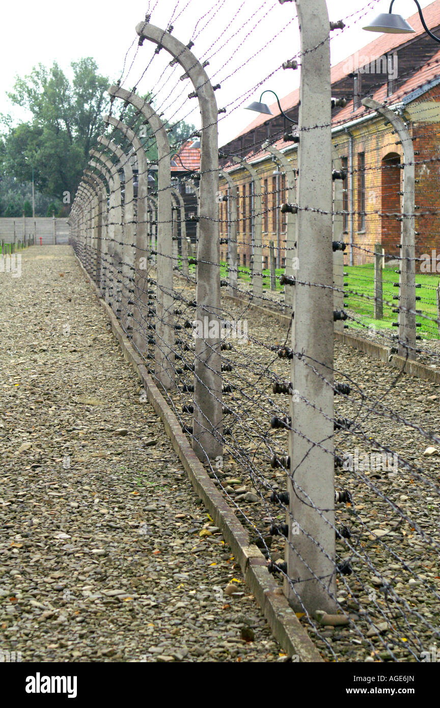 Auschwitz in bianco e nero immagini e fotografie stock ad alta ...