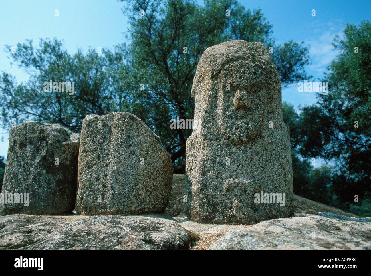 Statue menhir immagini e fotografie stock ad alta risoluzione - Alamy
