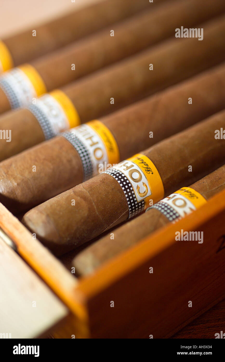 Box cohiba cuban cigars immagini e fotografie stock ad alta risoluzione ...
