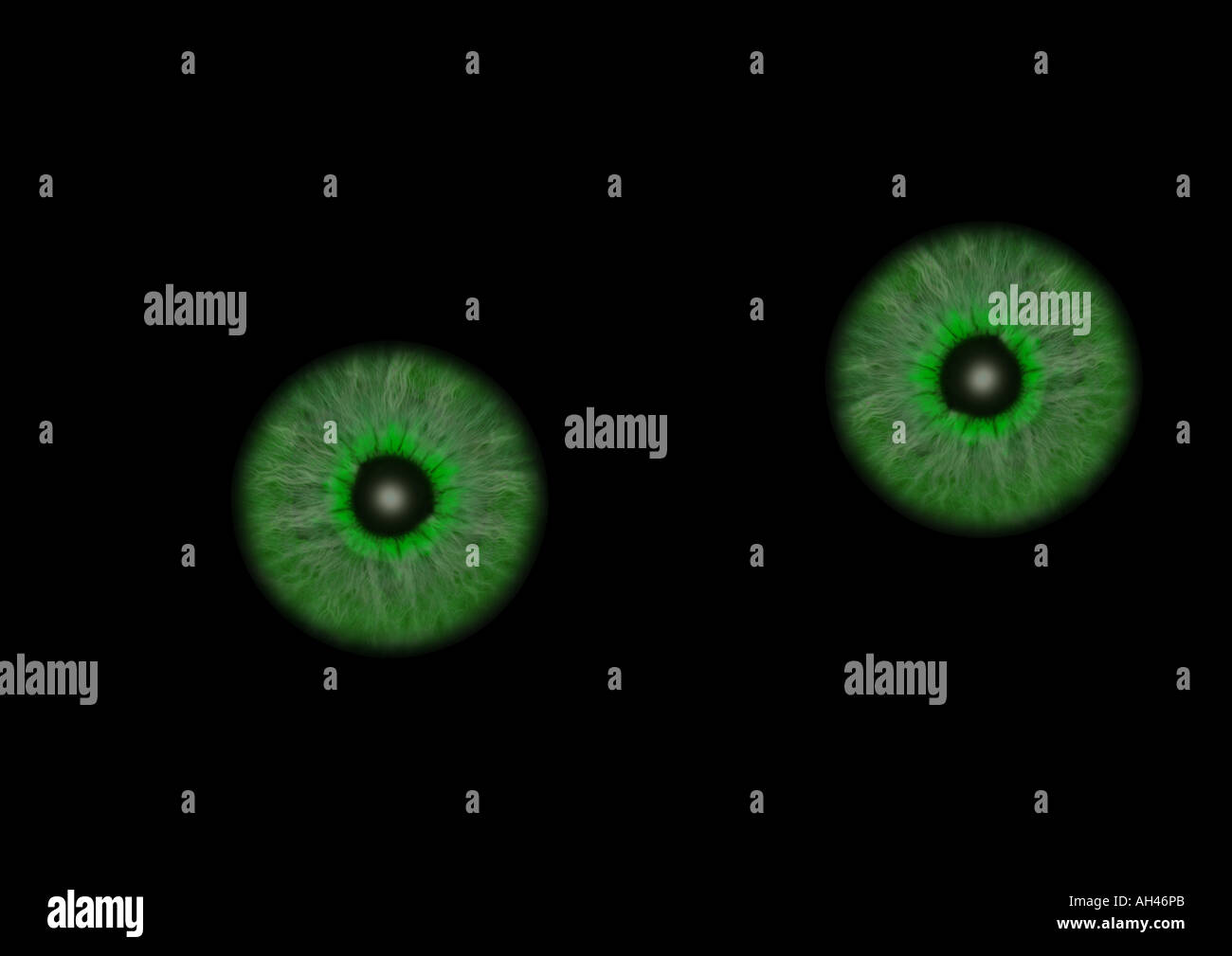 Blick augen immagini e fotografie stock ad alta risoluzione - Alamy