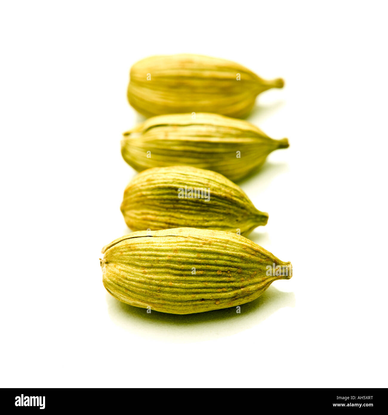 Green cardamom pods immagini e fotografie stock ad alta risoluzione - Alamy