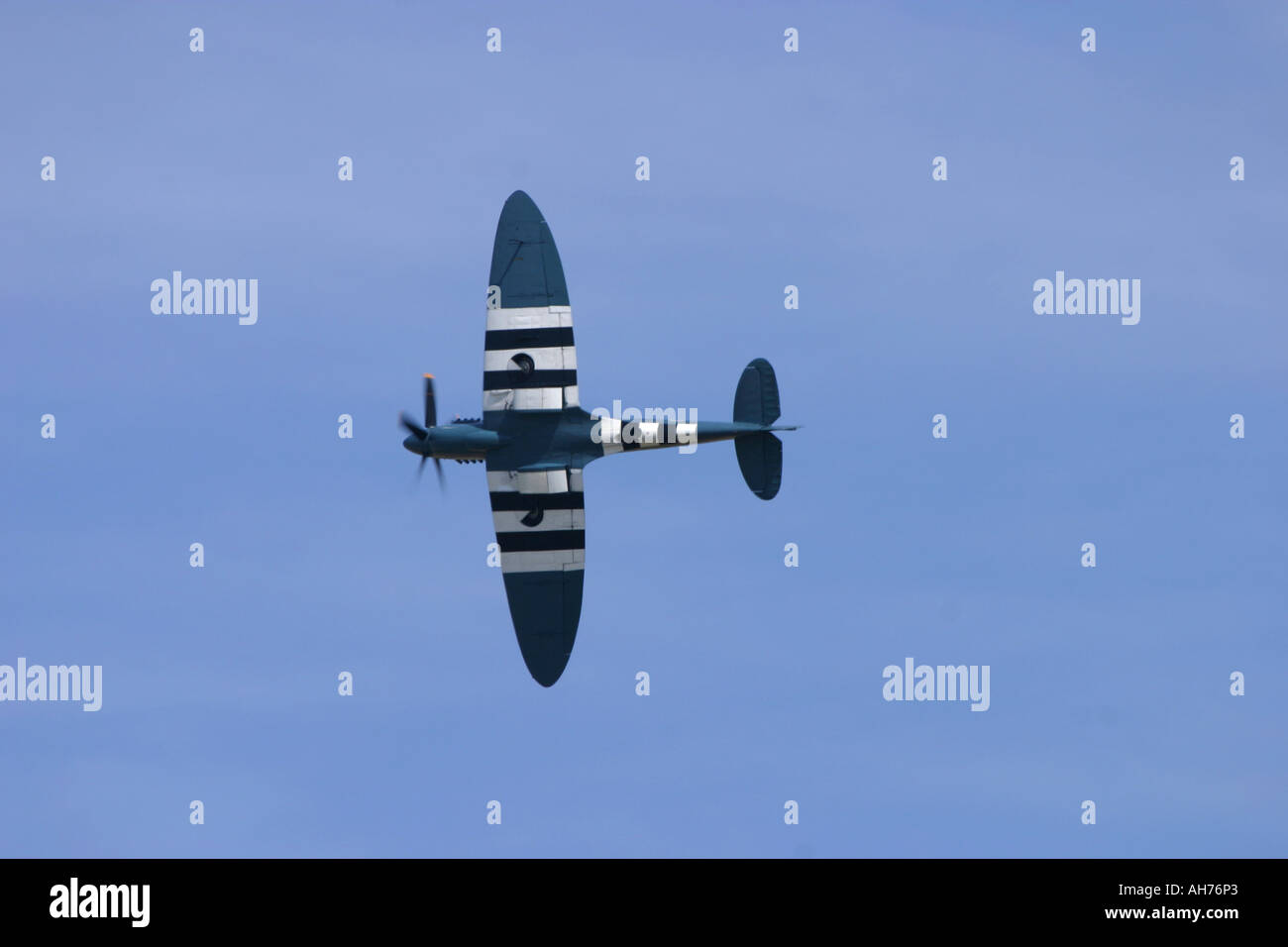 Supermarine spitfire prxix immagini e fotografie stock ad alta ...