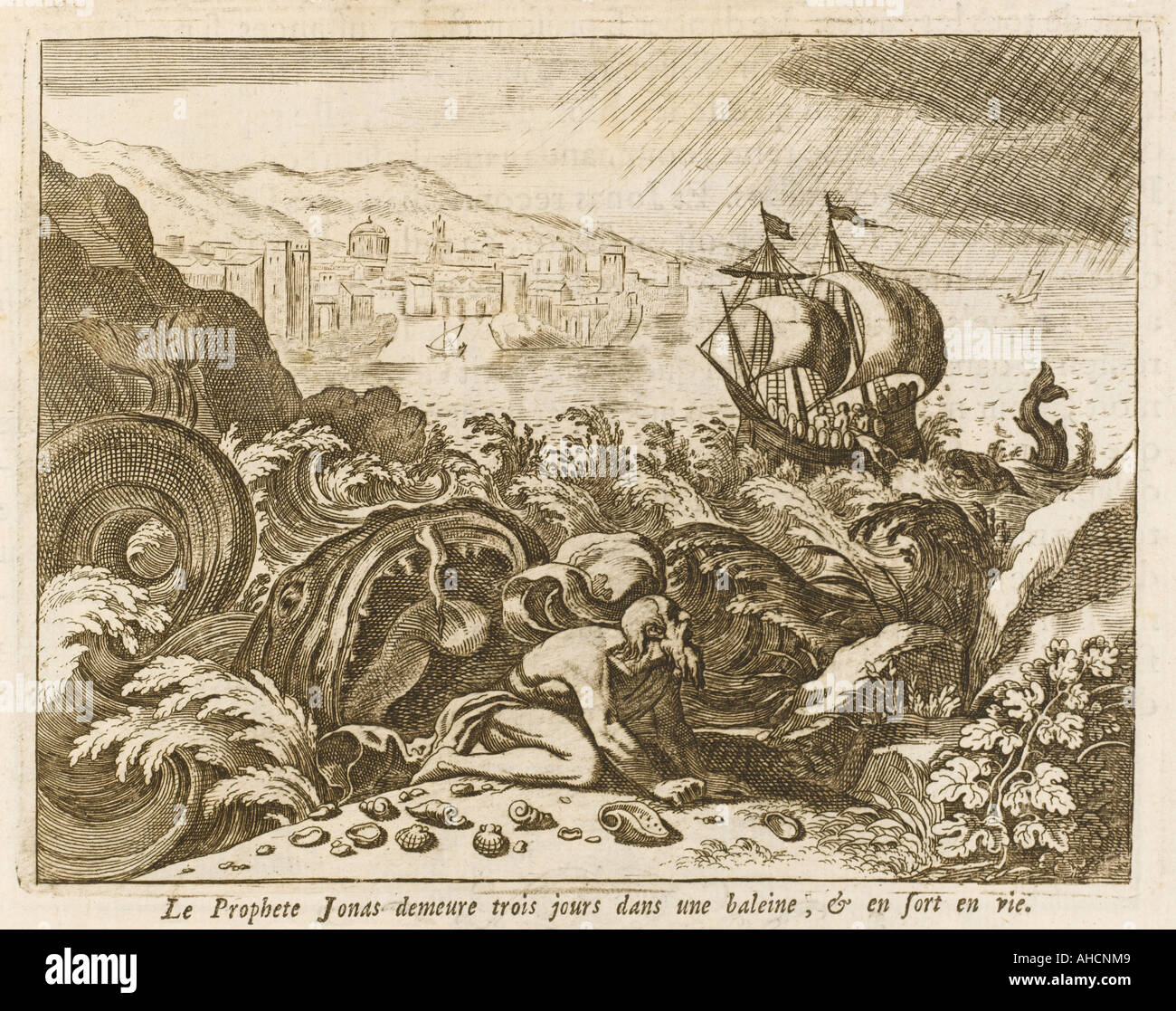 Giona lanciato alla balena immagini e fotografie stock ad alta ...