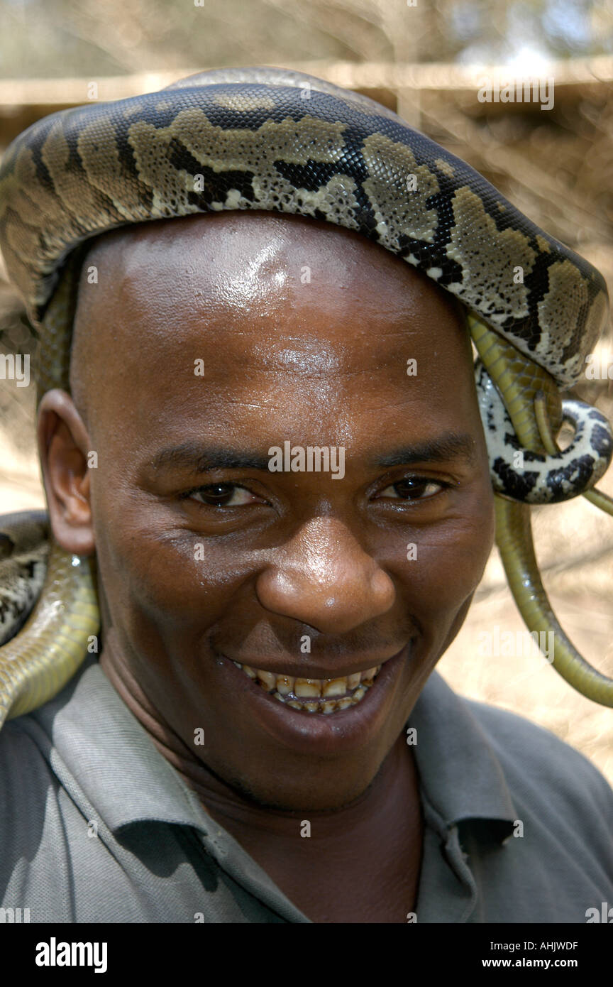 Serpente serpenti serpente immagini e fotografie stock ad alta ...