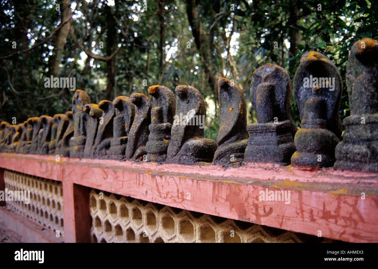Tempio di mannarasala immagini e fotografie stock ad alta risoluzione ...