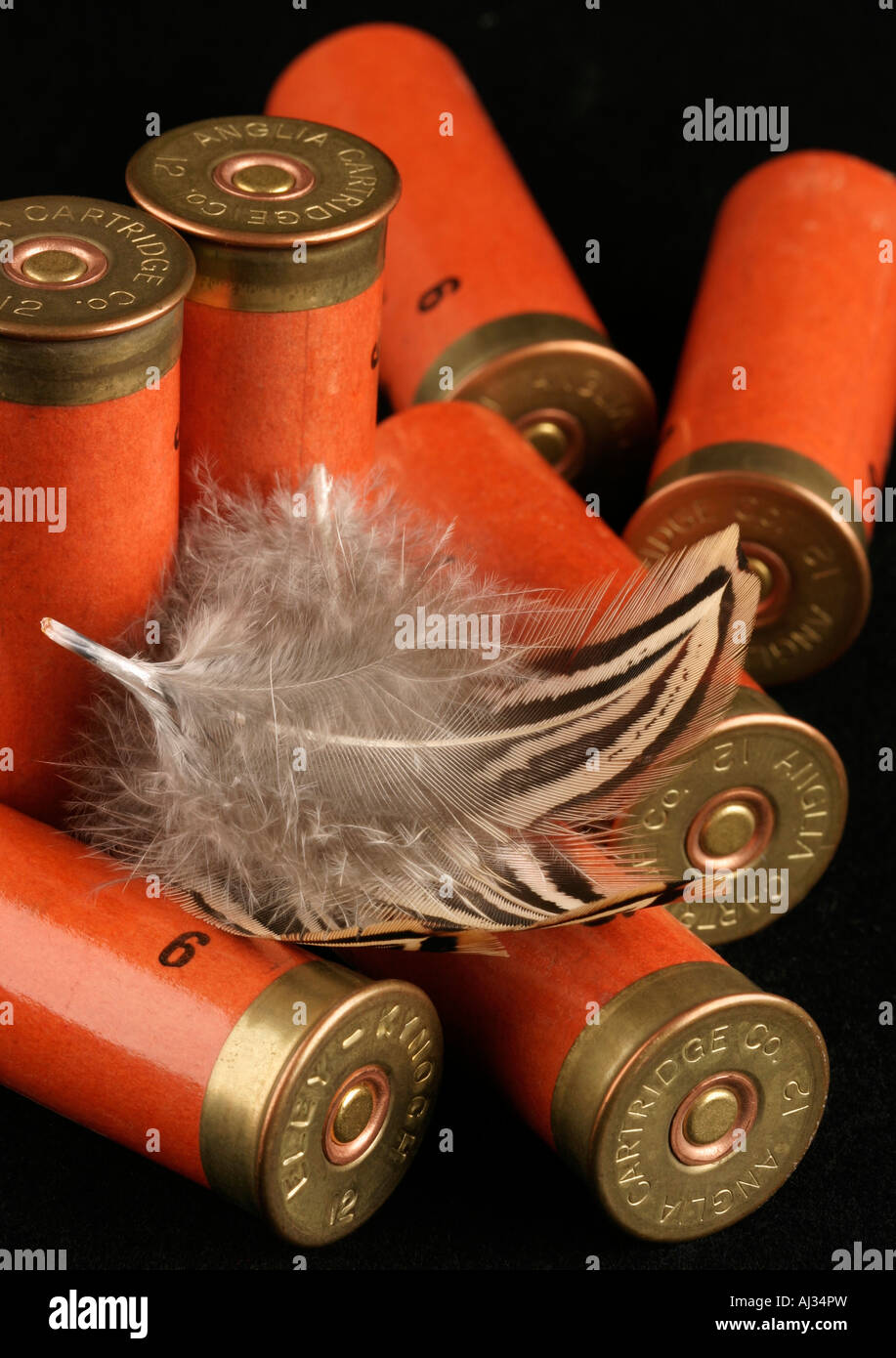 Cartucce per fucili da caccia vintage immagini e fotografie stock ad ...