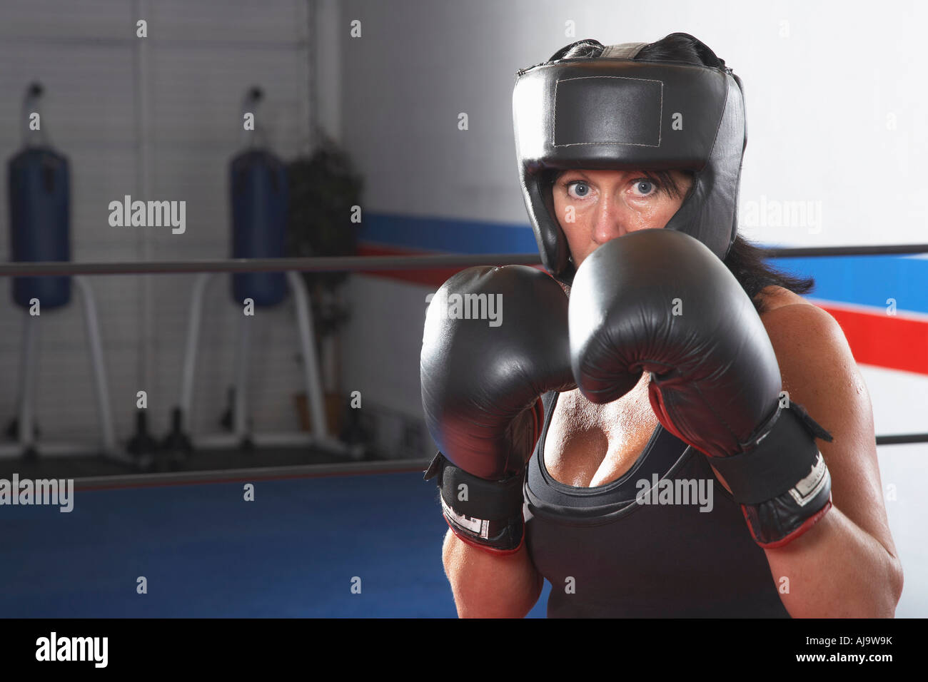 Boxers boxing forties immagini e fotografie stock ad alta risoluzione ...