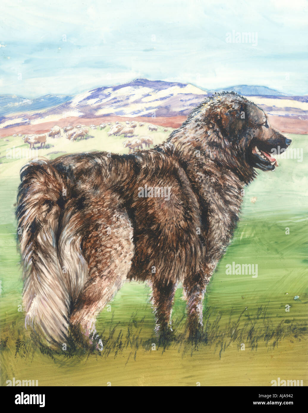 Fauna macedone immagini e fotografie stock ad alta risoluzione - Alamy