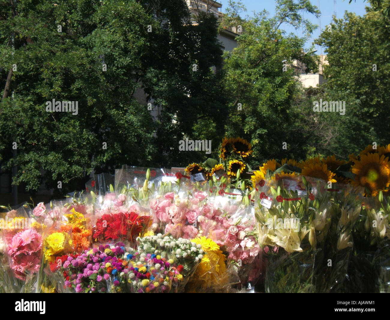 Fioraio roma immagini e fotografie stock ad alta risoluzione - Alamy