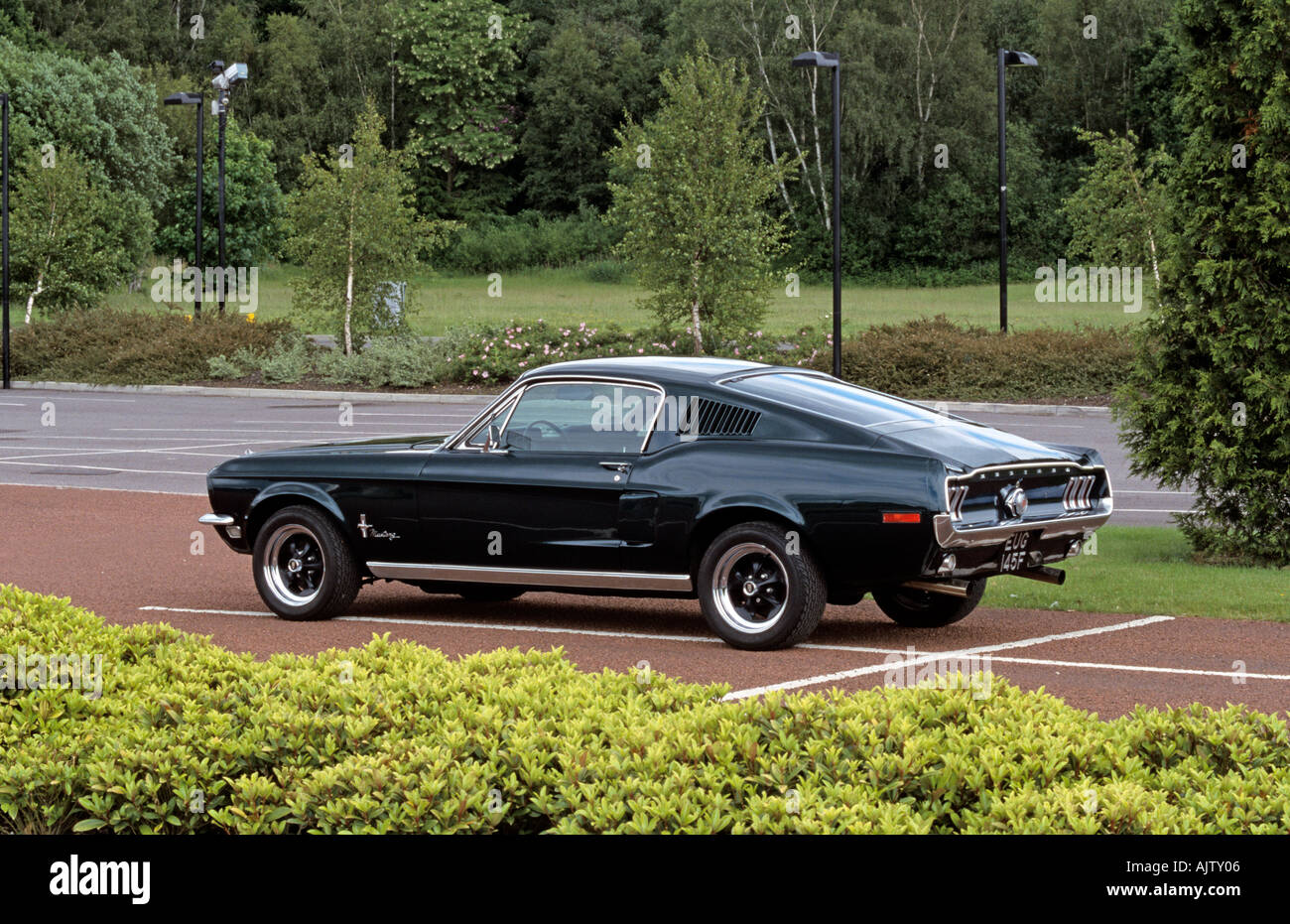 1968 ford mustang fastback gt immagini e fotografie stock ad alta ...