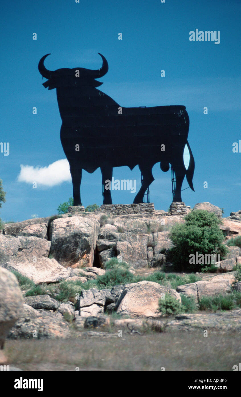 Osborne bull immagini e fotografie stock ad alta risoluzione - Alamy