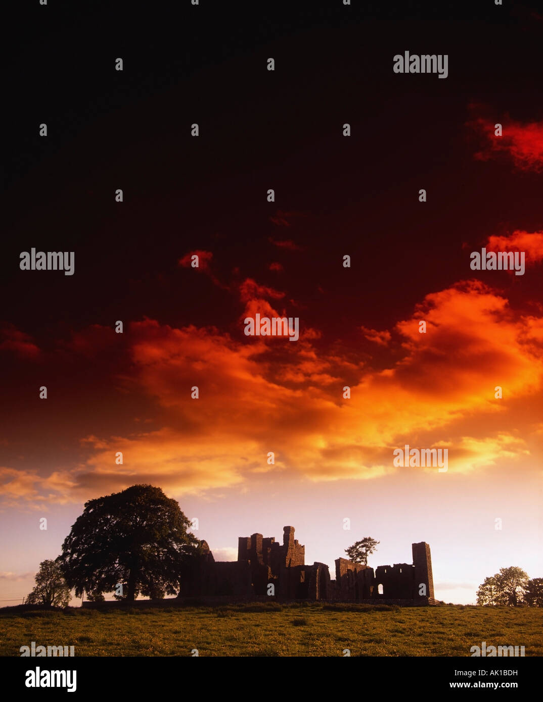 Bective abbey co meath irlanda immagini e fotografie stock ad alta ...