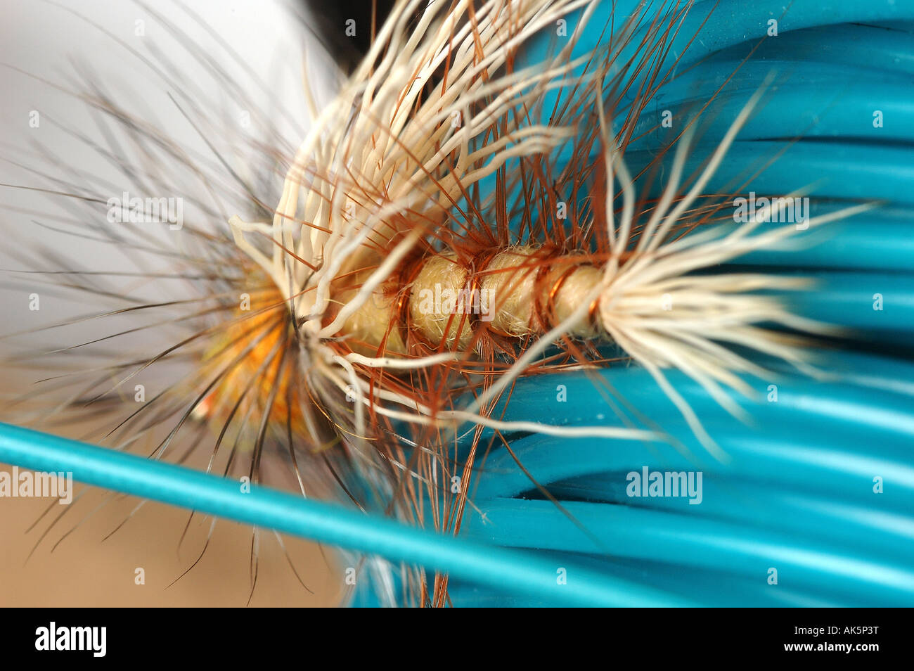 Paracadute per la pesca immagini e fotografie stock ad alta risoluzione ...