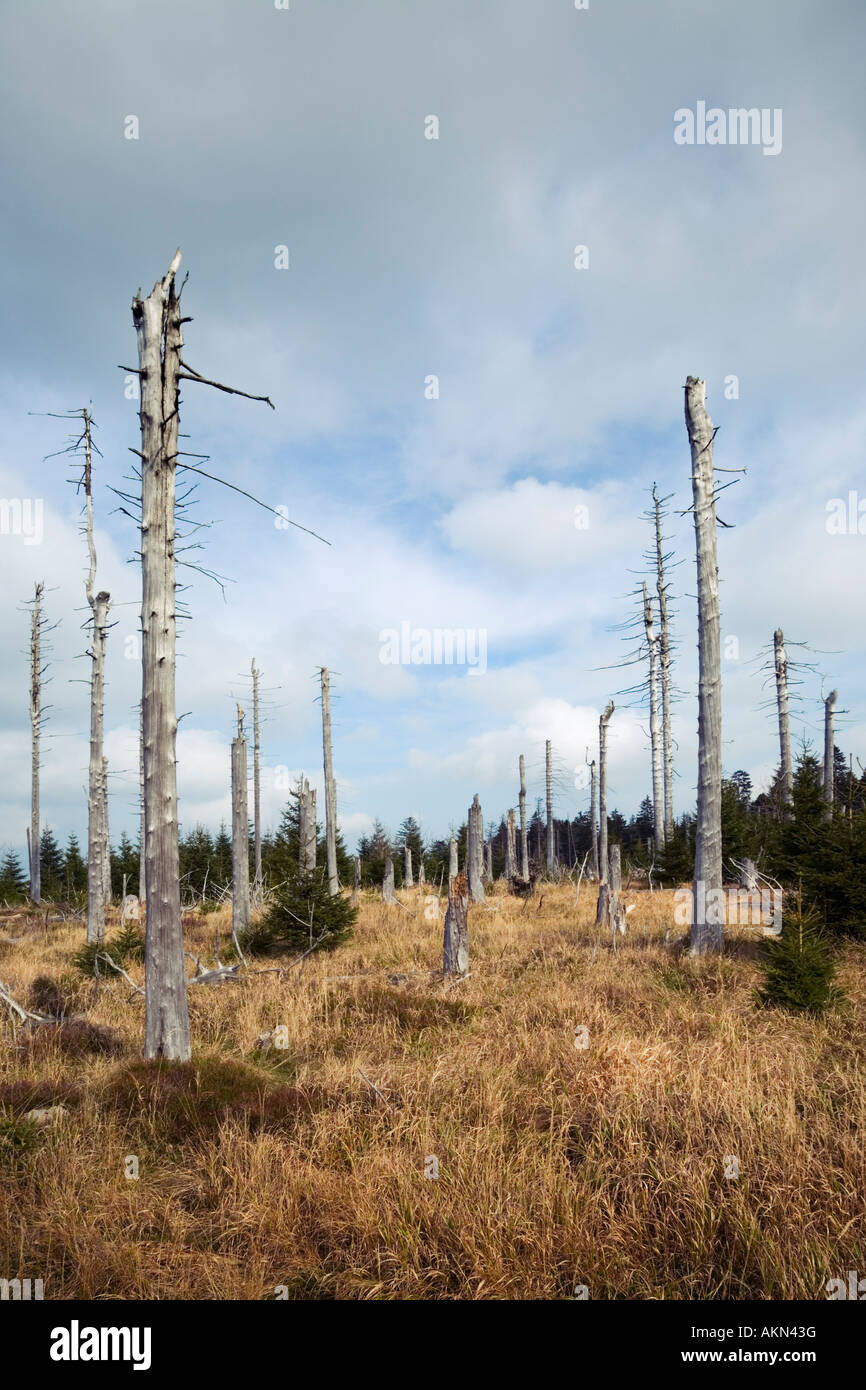 Pioggia acida immagini e fotografie stock ad alta risoluzione - Alamy