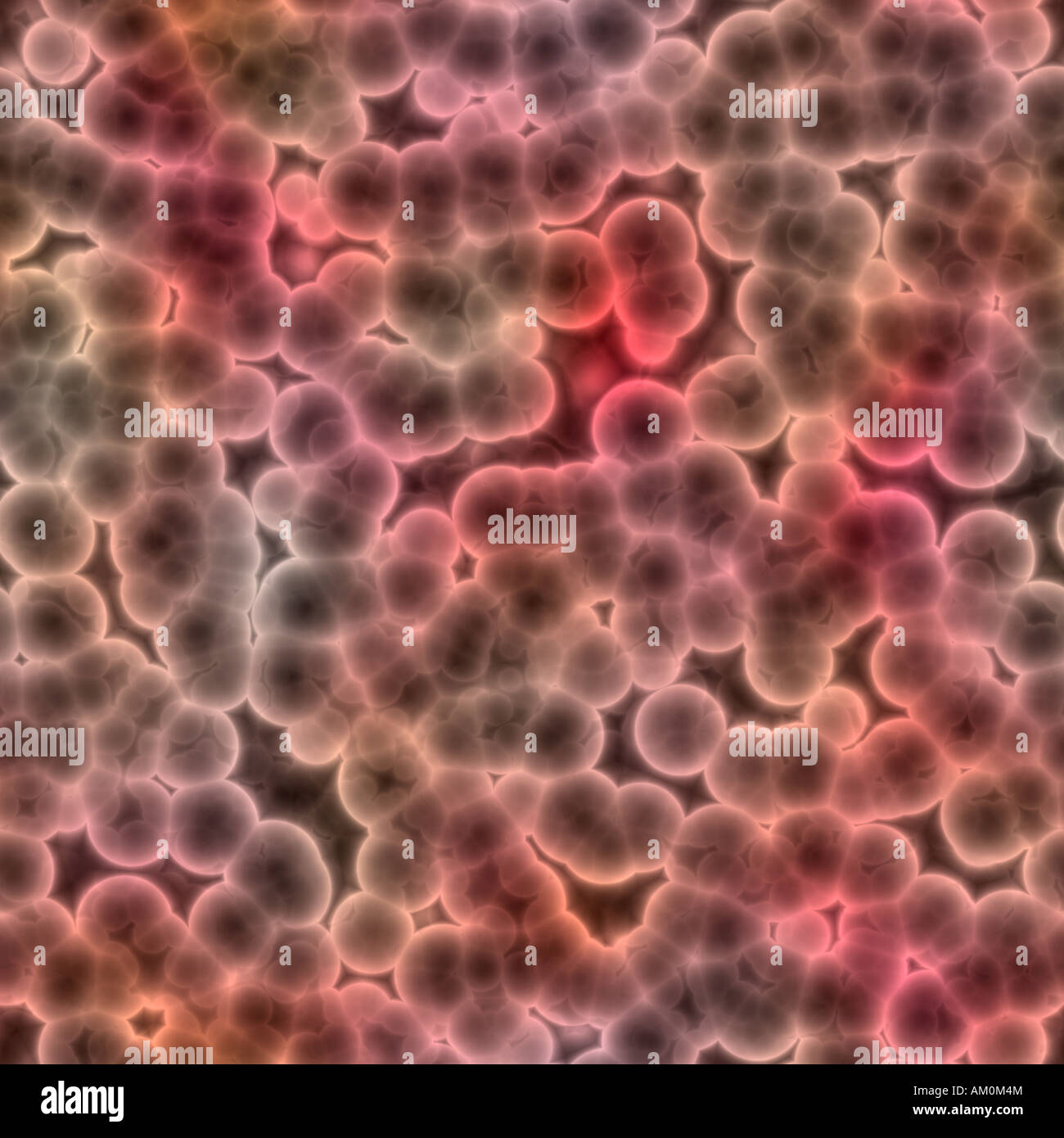 Cellule Al Microscopio Divisione Delle Cellule Staminali Embrionali