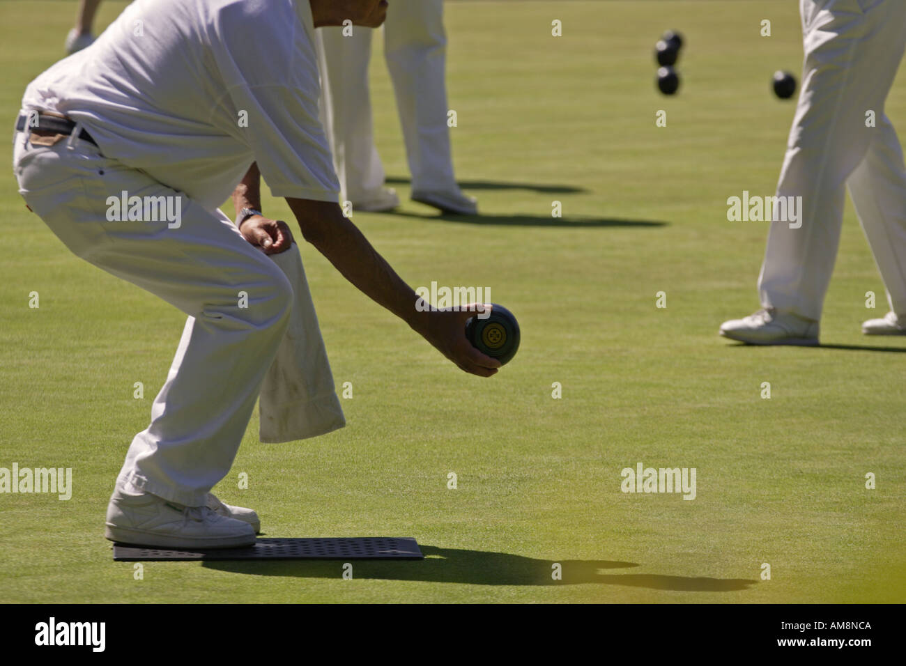 Prato verde palla da bocce immagini e fotografie stock ad alta ...