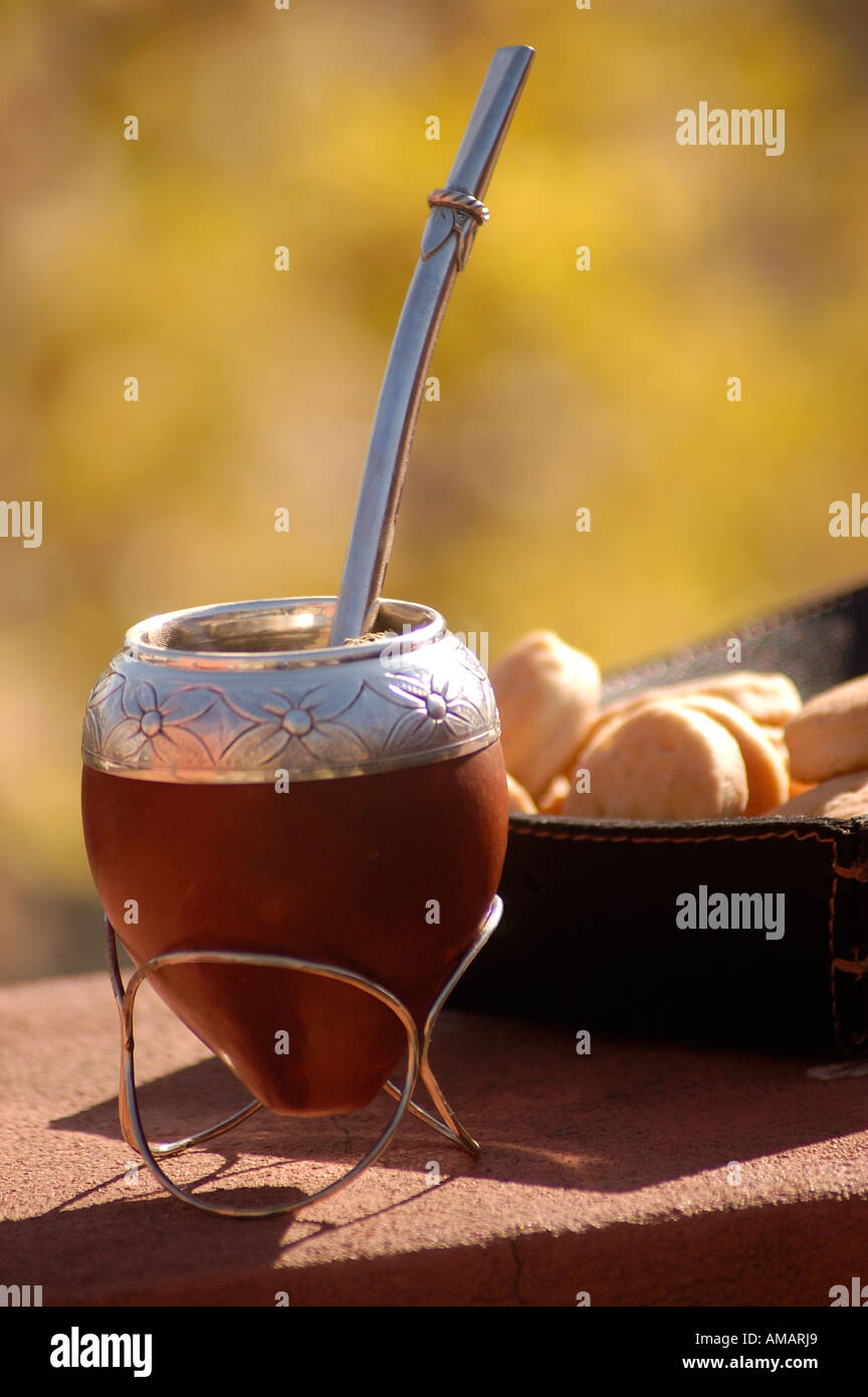 Ilex paraguayensis immagini e fotografie stock ad alta risoluzione - Alamy