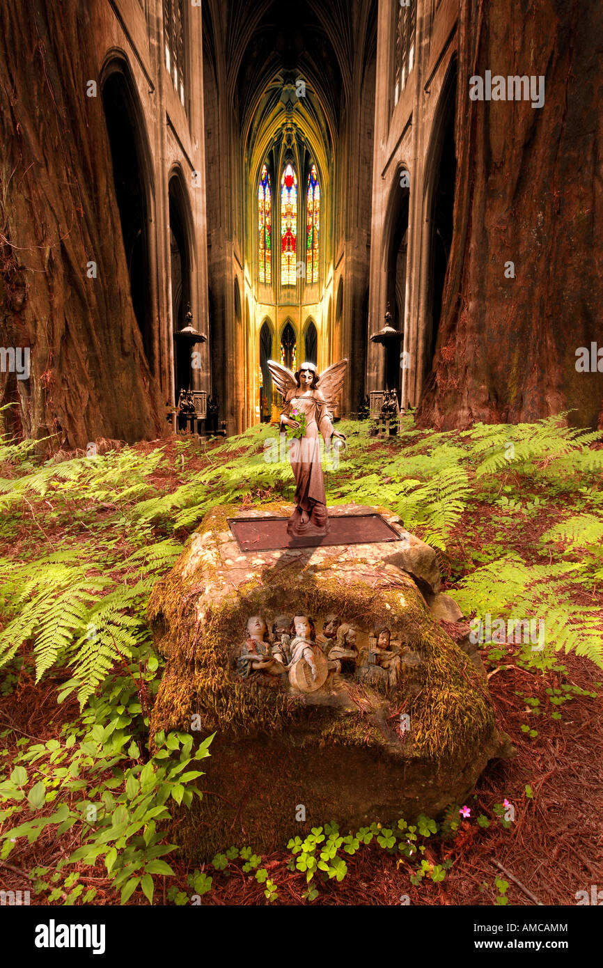 Psicologia della foto immagini e fotografie stock ad alta risoluzione ...