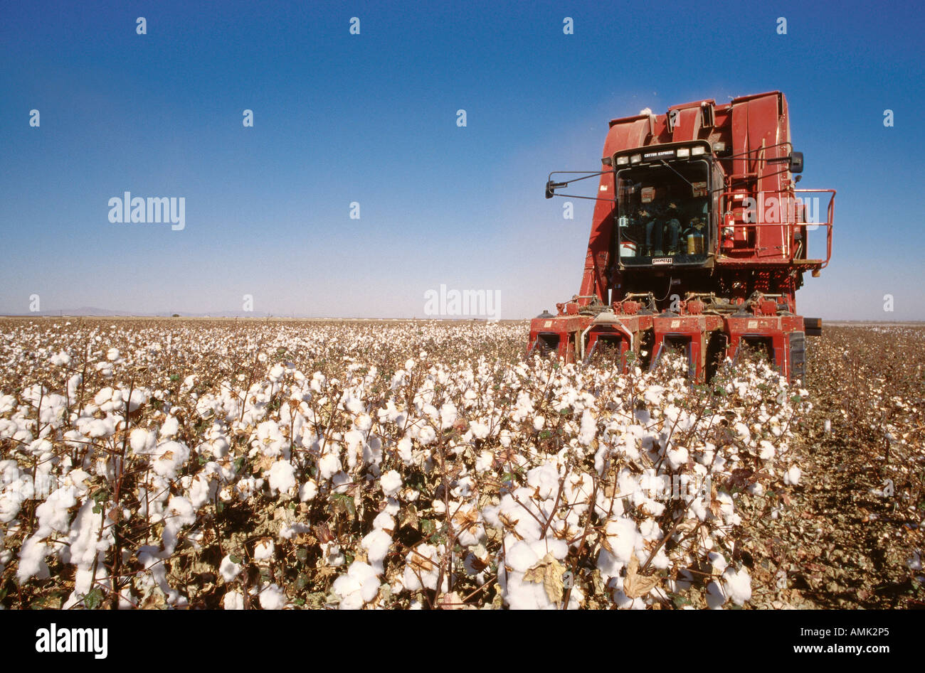 Cotton Harvester Immagini e Fotos Stock - Alamy