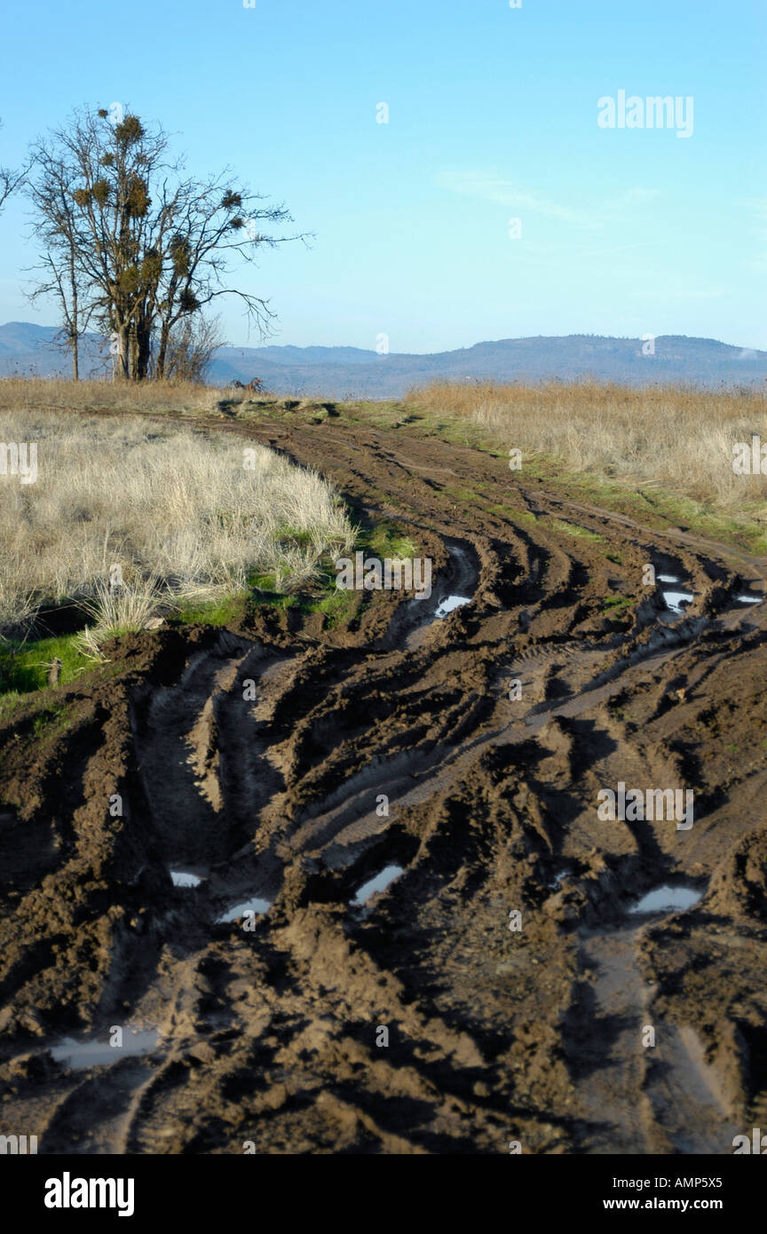 Linea di tracce fangose immagini e fotografie stock ad alta risoluzione ...