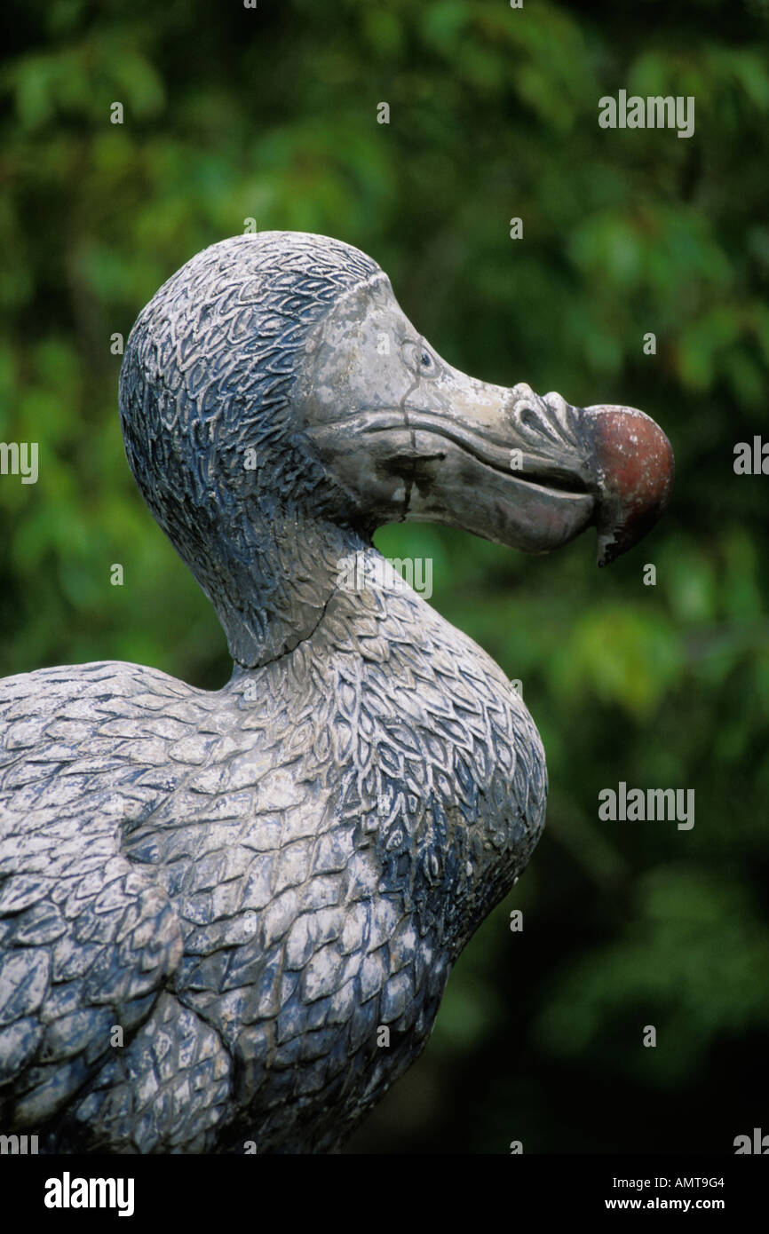Mauritius island dodo bird immagini e fotografie stock ad alta ...