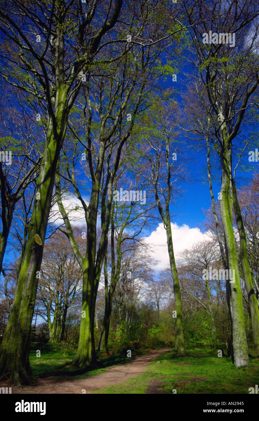 Eastham wirral merseyside inghilterra immagini e fotografie stock ad ...