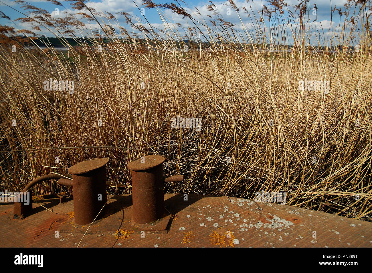 Nave scafo in acciaio immagini e fotografie stock ad alta risoluzione ...
