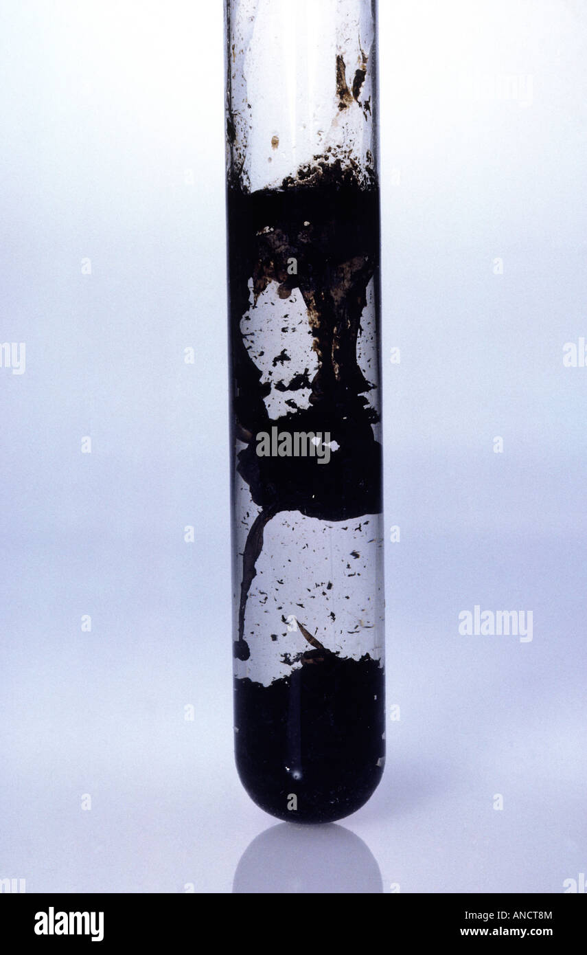 Solfuro di bismuto immagini e fotografie stock ad alta risoluzione - Alamy