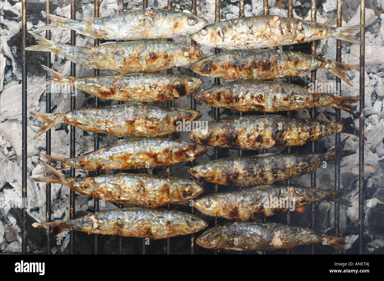 Sardine alla griglia. Popolare Sardine Festival Portimao Algarve ...