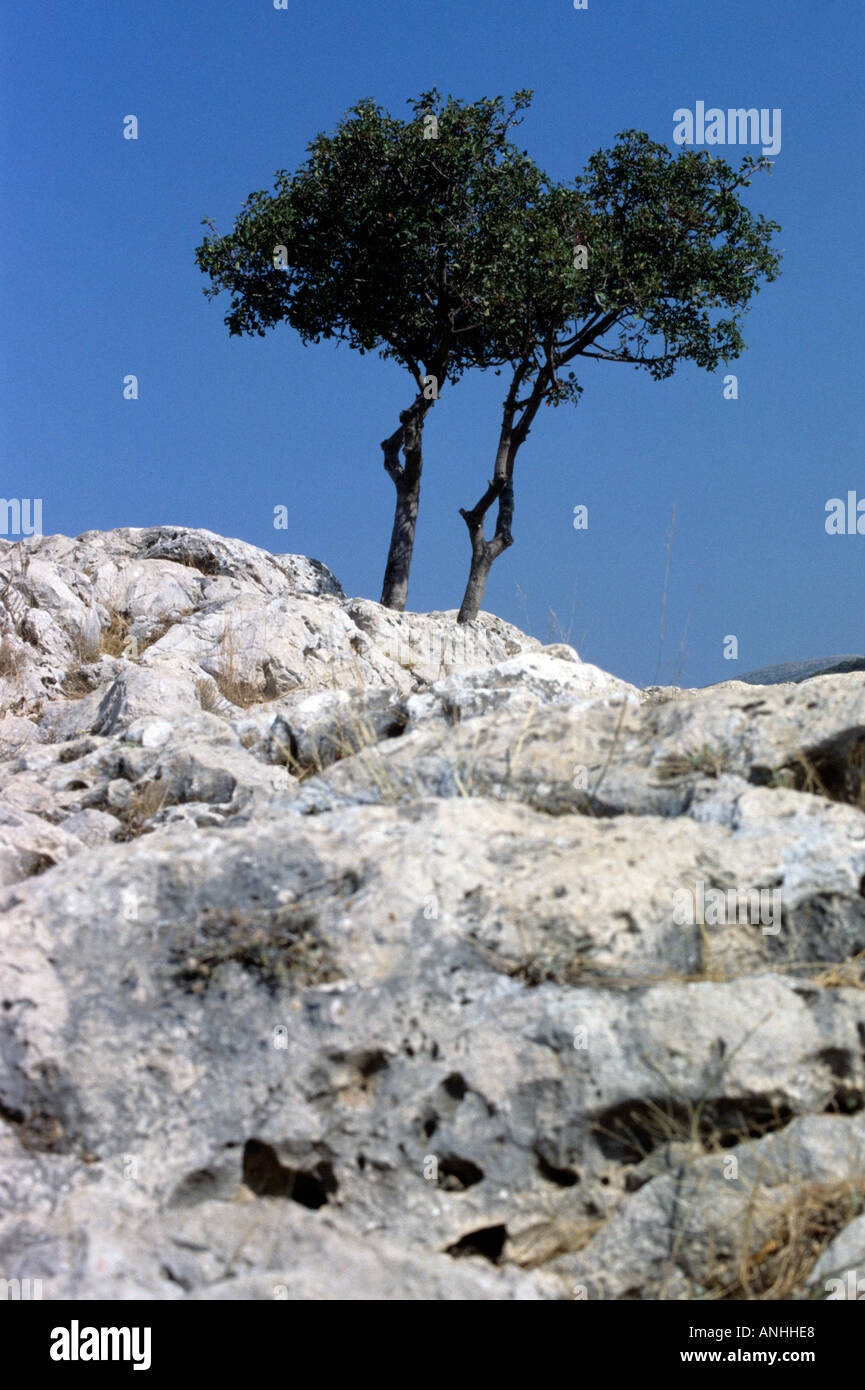 Tomba a pozzo micenea immagini e fotografie stock ad alta risoluzione ...