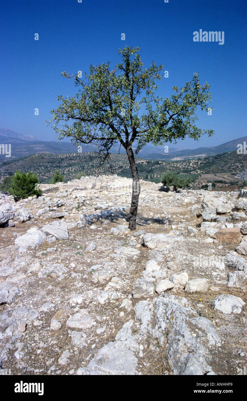Micenea le rocche immagini e fotografie stock ad alta risoluzione - Alamy