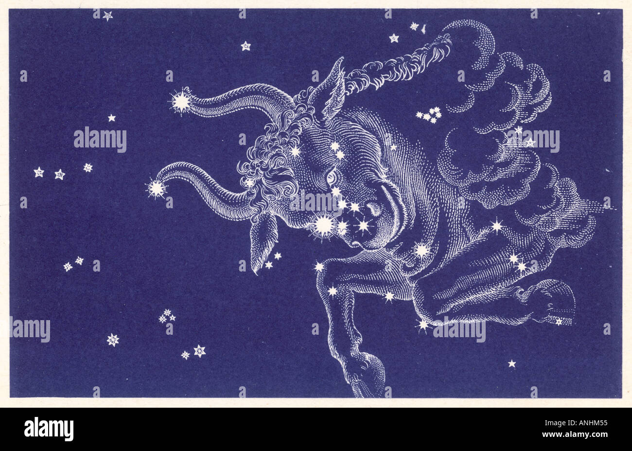 Toro zodiacale immagini e fotografie stock ad alta risoluzione - Alamy