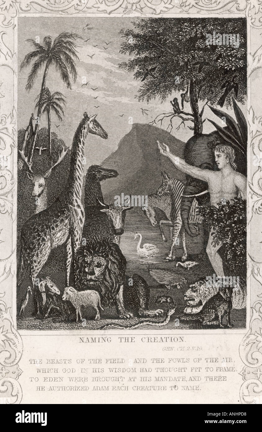 Creation of adam and eve immagini e fotografie stock ad alta ...