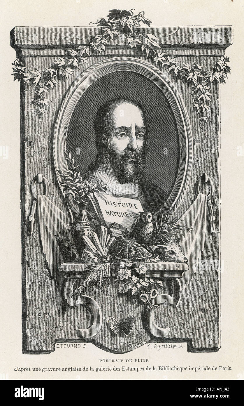 Plinio il vecchio immagini e fotografie stock ad alta risoluzione - Alamy