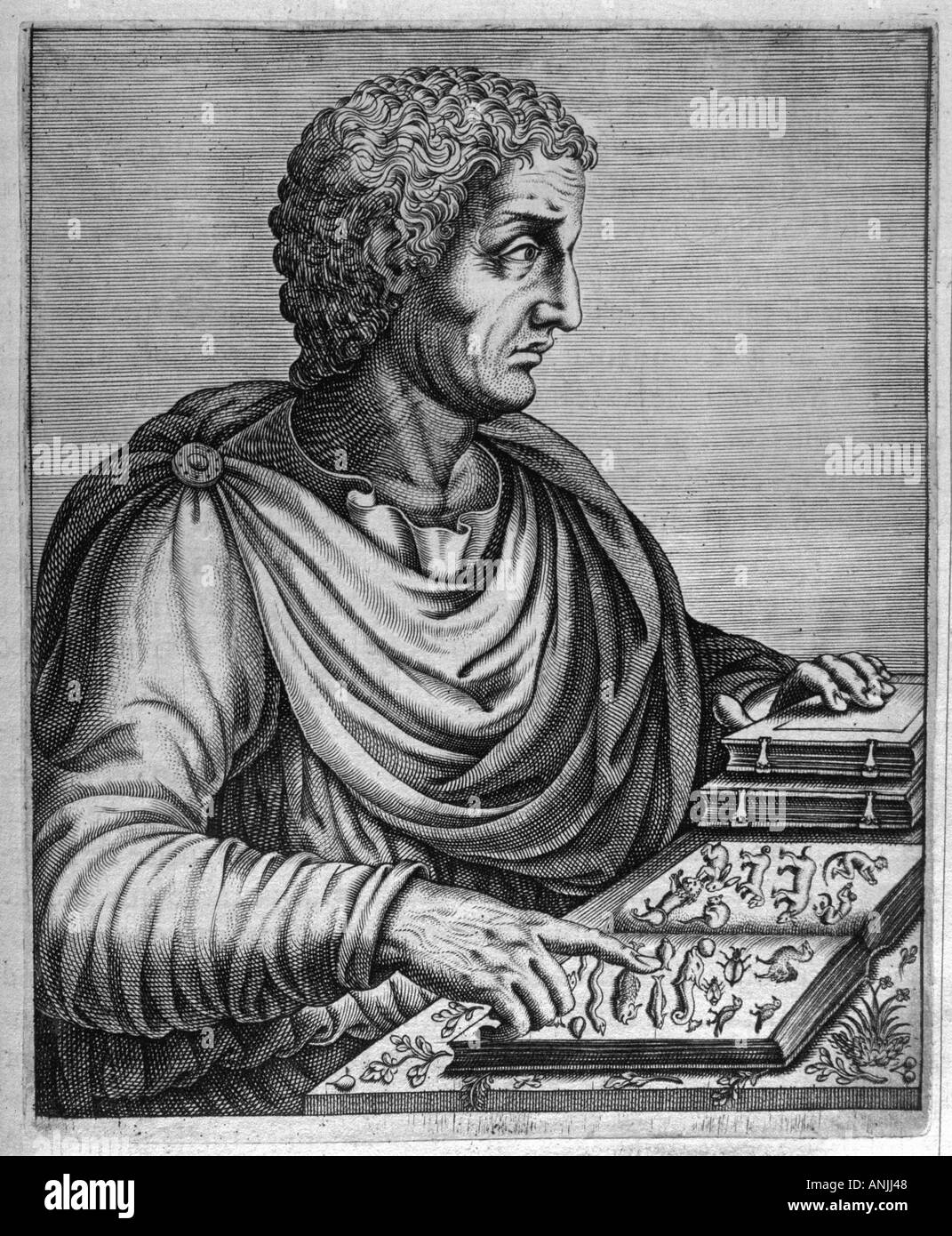 Plinio il vecchio immagini e fotografie stock ad alta risoluzione - Alamy