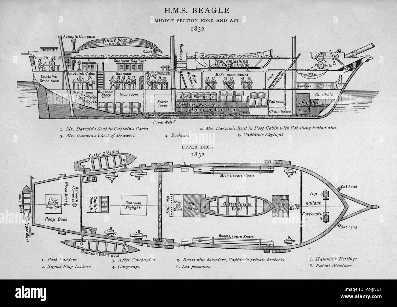 Hms beagle immagini e fotografie stock ad alta risoluzione - Alamy
