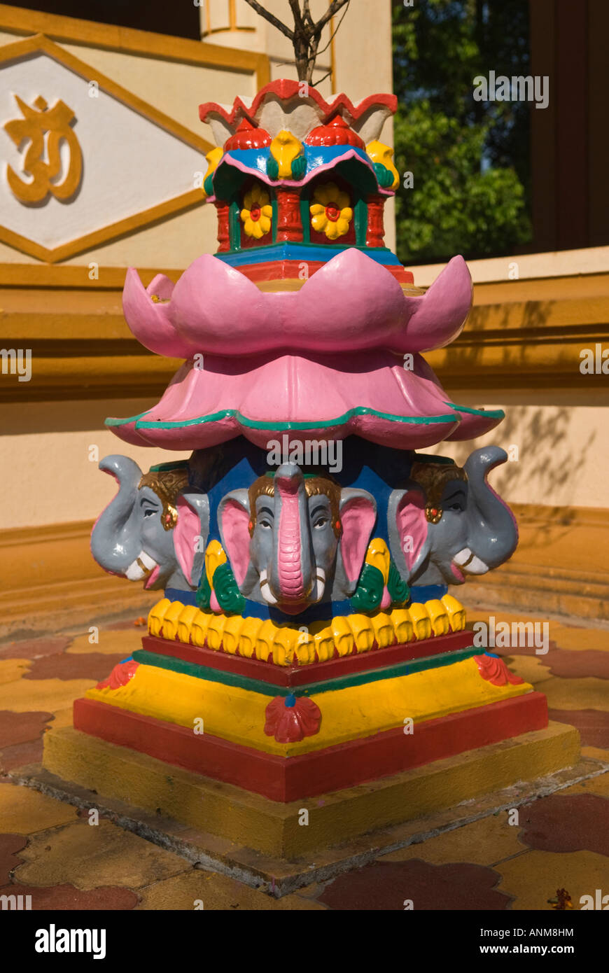 Tulsi vrindavan immagini e fotografie stock ad alta risoluzione - Alamy